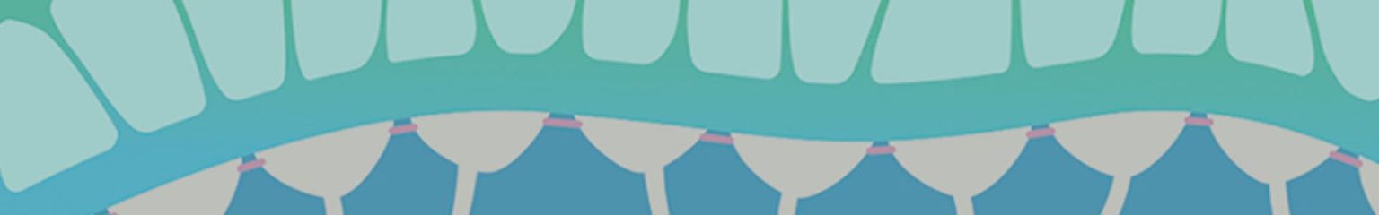 Fascia Trifold Reference Chart – Upledger Institute International